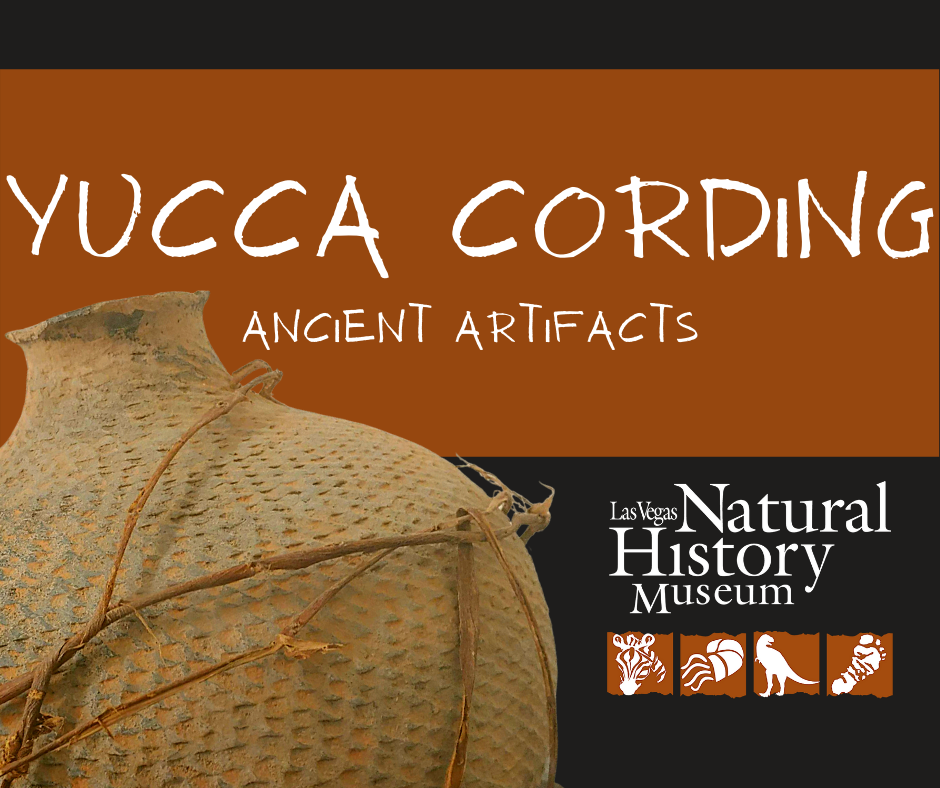 Events Calendar - Ancient Artifacts: Yucca Cording with Angelo Robledo ...